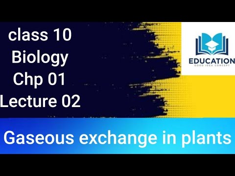 Class 10 - Biology - chp 1 - lecture 2 - knowlogy - YouTube