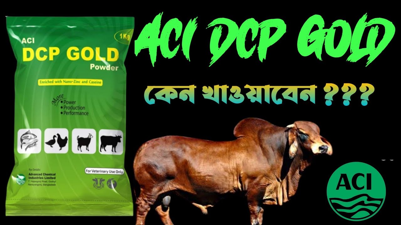 ACI DCP GOLD । ACI ANIMAL HEALTH PRODUCT। এ সি আই ডি সি পি গোল্ড কেনো ...