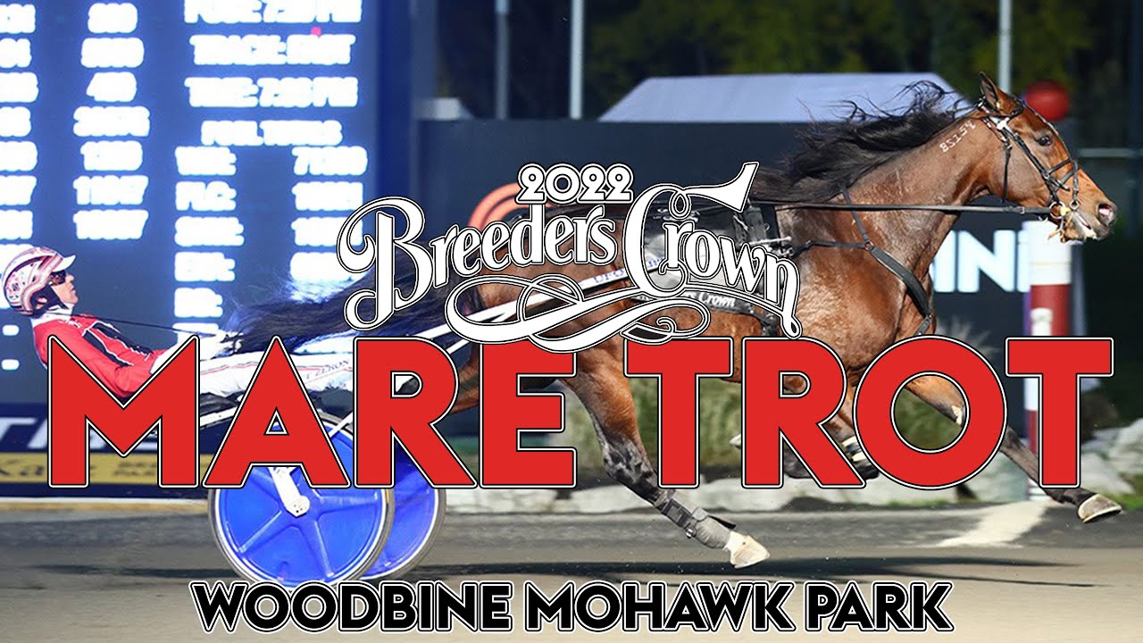 2022 Breeders Crown - Bella Bellini - Mare Trot - YouTube