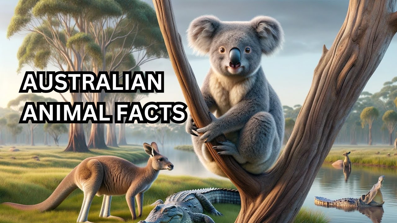 Australian Animals Unveiled: Facts About Australia's Famous Wildlife ...