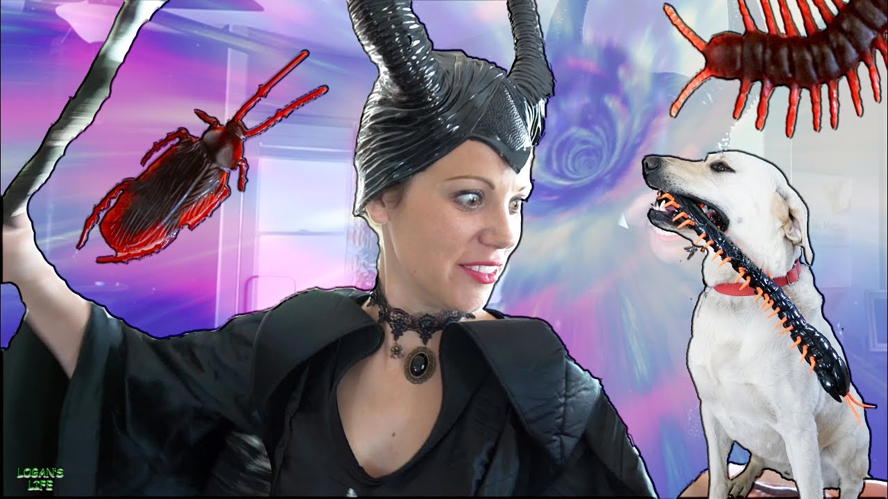Brave Logan the Lab Plays with Pretend Maleficent's Magic Bugs - YouTube