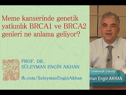 Meme kanserinde genetik yatkınlık BRCA1 ve BRCA2 genleri ne anlama geliyor? -  Süleyman Engin Akhan