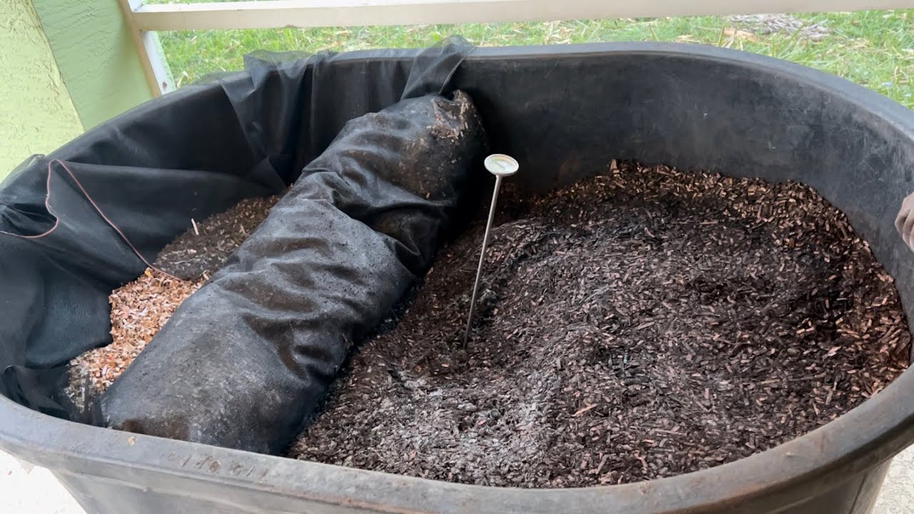 Black Beauty HUGE Pre-Compost Trough - YouTube