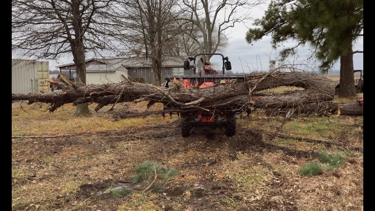Timber Trimming at Red Oak Planation - YouTube