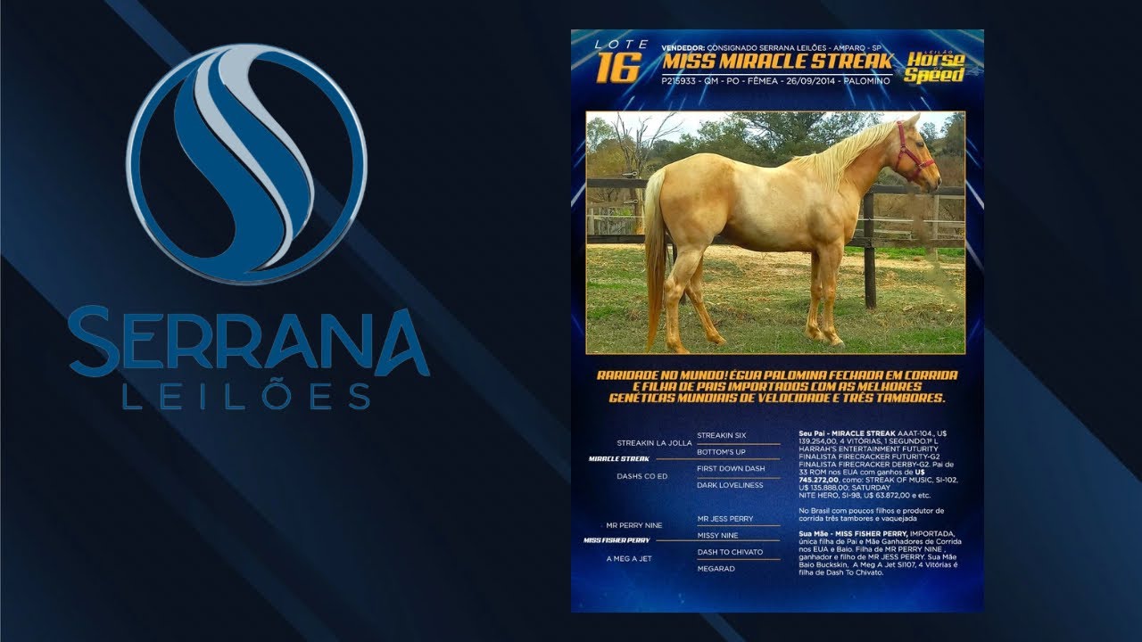 Lote 16 - Miss Miracle Streak - YouTube