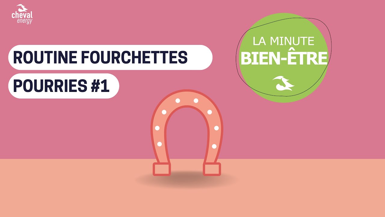Minute Bien-être Cheval Energy - Routine fourchettes pourries - YouTube