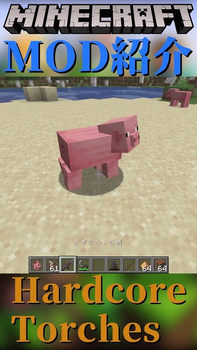 【Minecraft】縛りプレイ用MOD！松明が時間で消える？！『Hardcore Torches』【MOD紹介】#shorts #ゆっくり ...