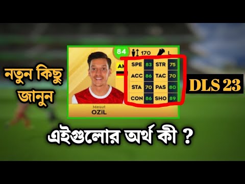 DLS 23 | DLS Card Information 2023 | DLS কার্ড সম্পর্কে জানুন | - YouTube