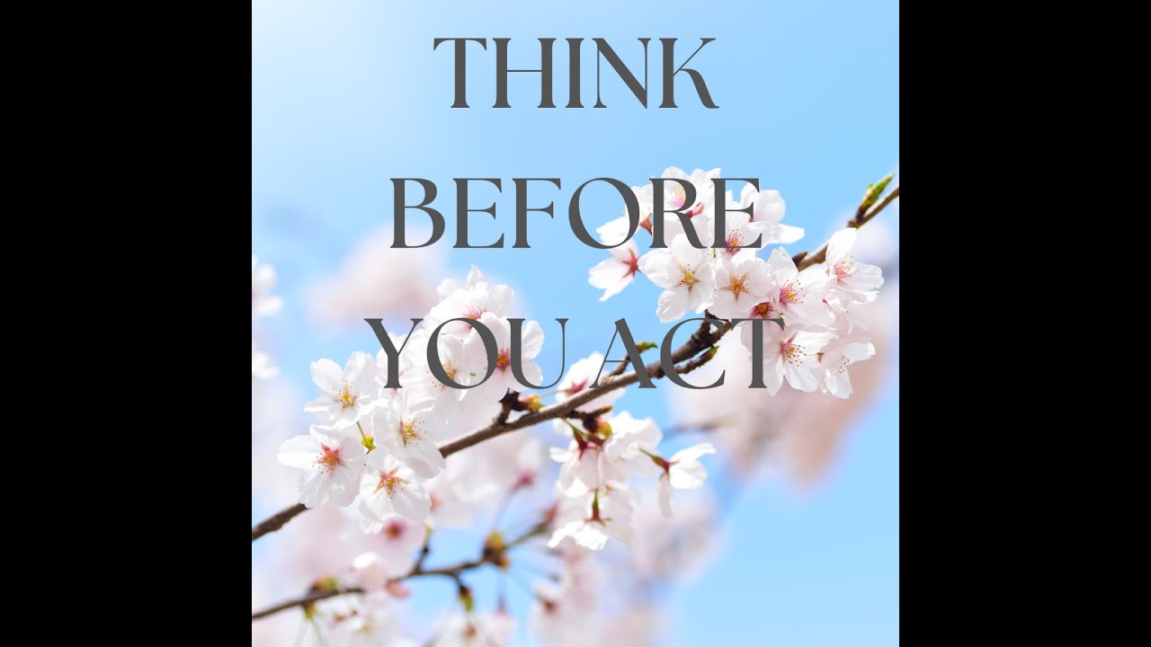 "The Thoughtful Turtle" – An Inspirational Tale of Wisdom & Kindness ...