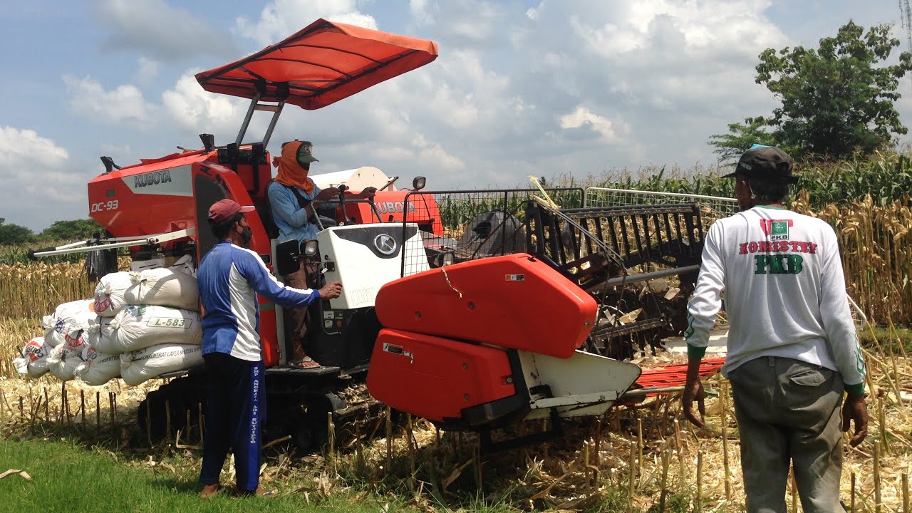 Mesin Panen Padi KUBOTA DC 93 Digunakan Jadi MESIN PANEN JAGUNG ...
