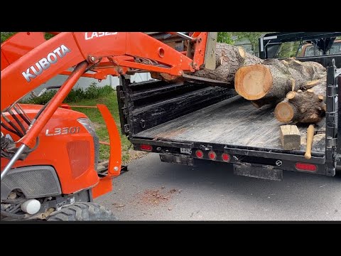 EX 3200 Cub Cadet, B3030 and L3301 Kubota Working The Woodlot - YouTube