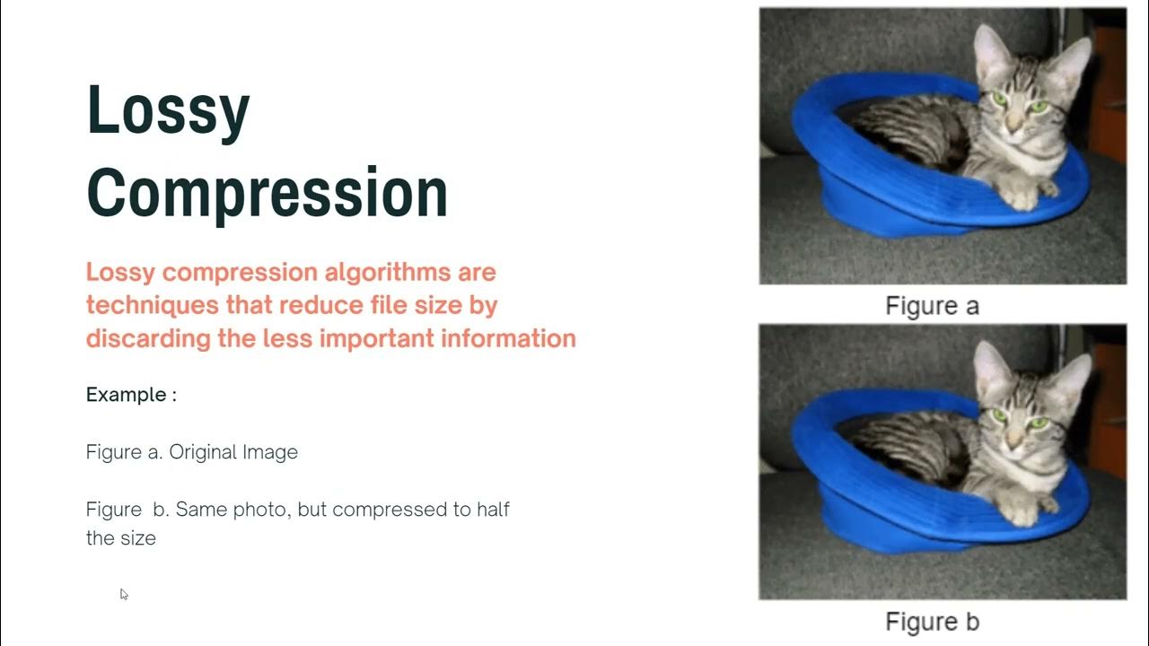Image Compression using FFT - YouTube