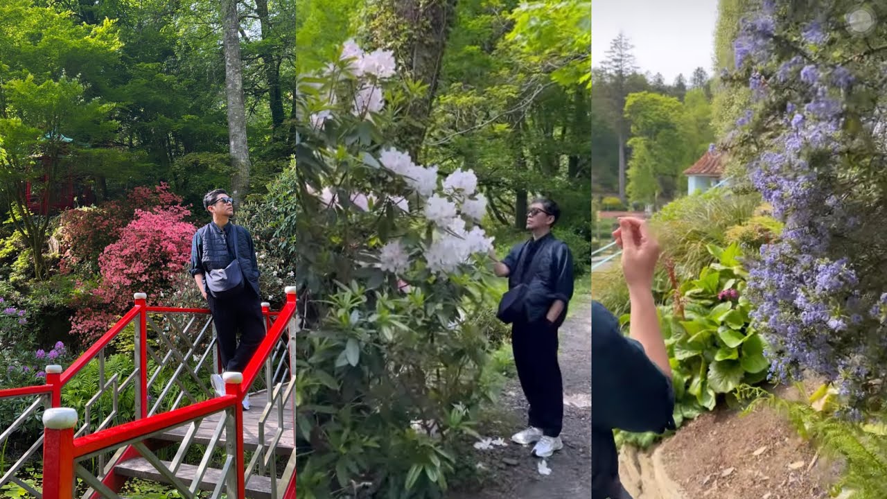 Dato’Rizalman ,Pelik-pelik Bunga dekat village Cantik ️ - YouTube