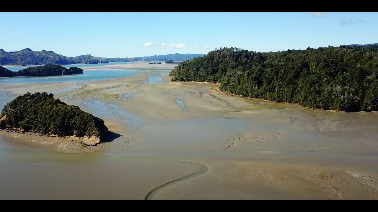 Dji Cinematic Whanganui Inlet Golden Bay - Kahurangi National Park ...