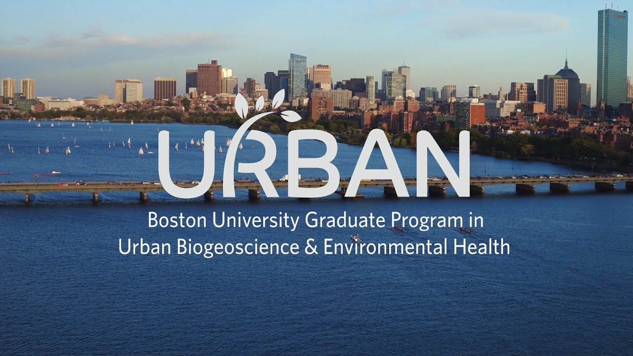 How can my PhD make a difference? | Boston University URBAN Program ...