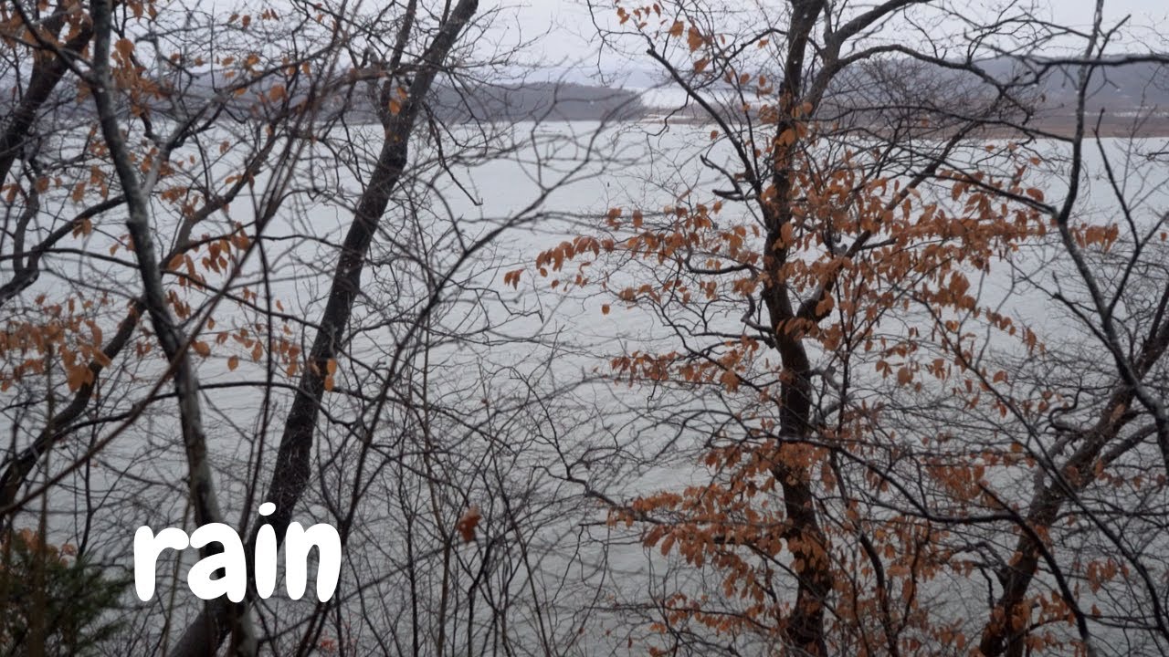 Christmas rain at Spring Lake Park Reserve – rain ambience - YouTube