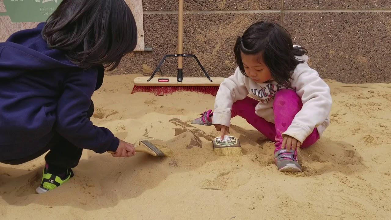 digging for dinos - YouTube