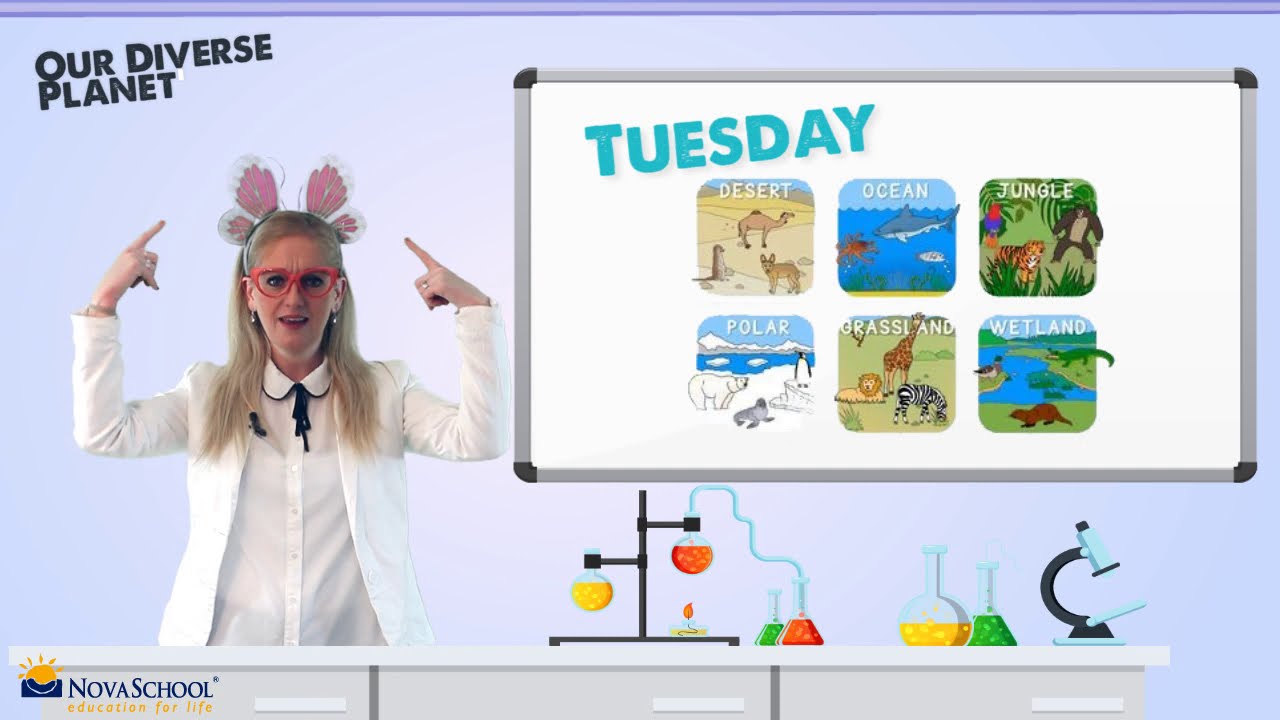 Science Week Primary Tuesday - YouTube