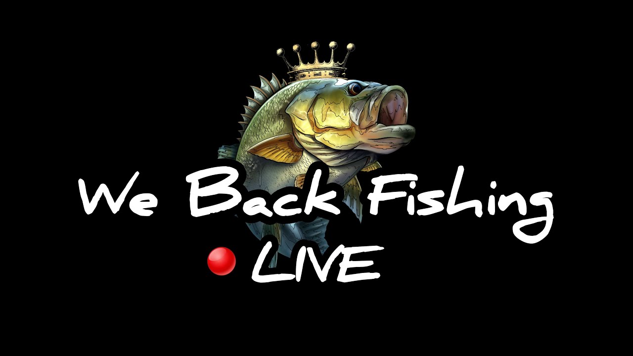 we back fishing | CatchEmKing is live! - YouTube