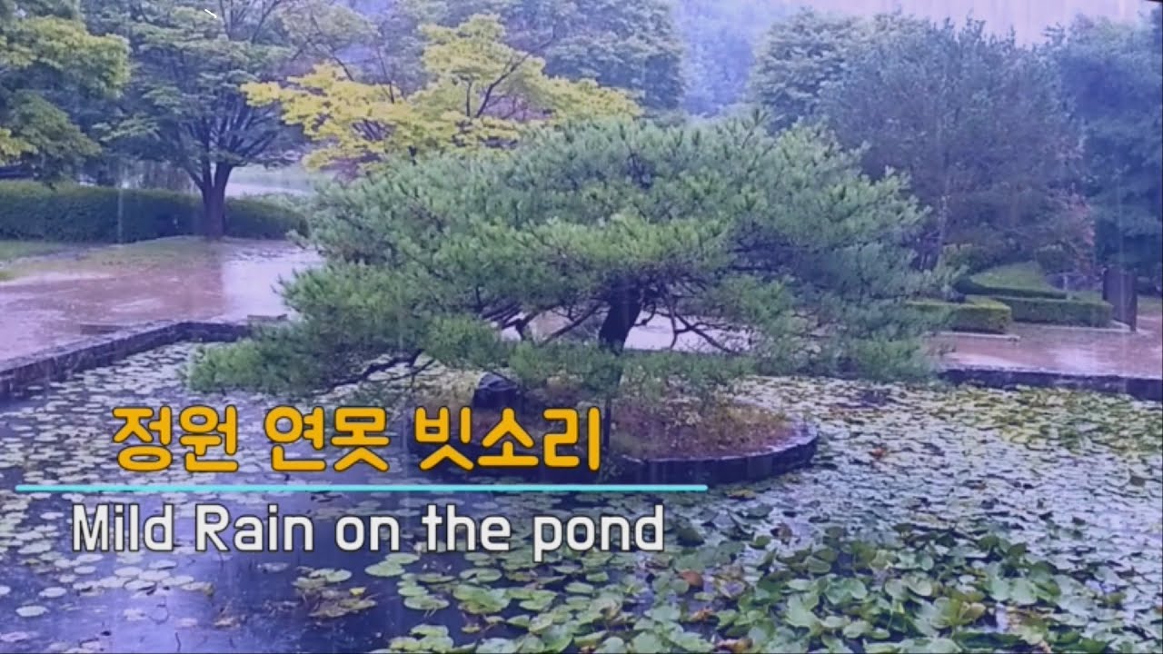 전통정원에 비오는 소리, Mild Rain in the Korean Traditional Garden, 아늑한 빗소리에 오는 ...