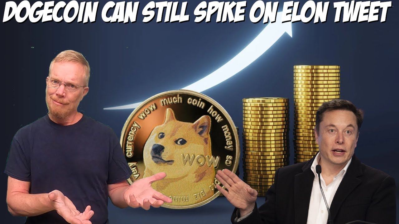 Dogecoin Can Still Spike on an Elon Musk Tweet - YouTube