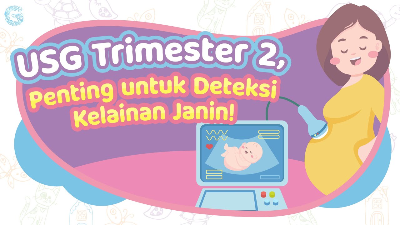 Kapan Harus Melakukan USG - Part 2: Trimester Kedua - YouTube