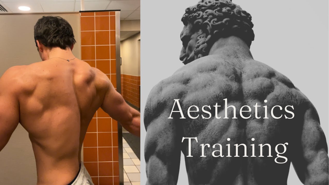 Full Back Workout For Aesthetics - YouTube
