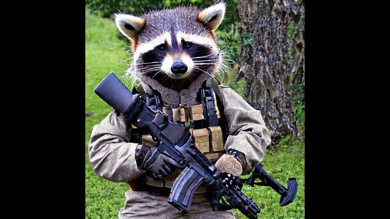 The Raccoon is BACK!!!!!!!!!!! | Warzone 2.0 | DMZ | MW2 - YouTube