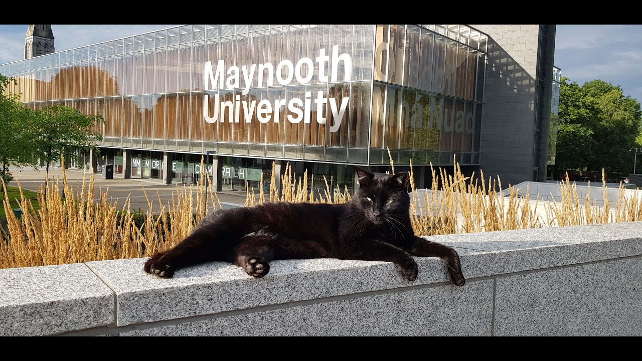 MU Library Return to Campus Video Aug 2020 - YouTube