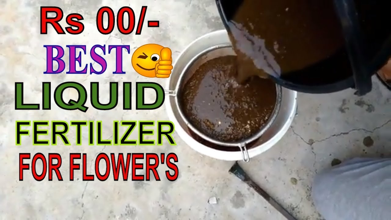 Compost Tea - Organic Fertilizer//How to make tea fertilizer liquid//tr ...