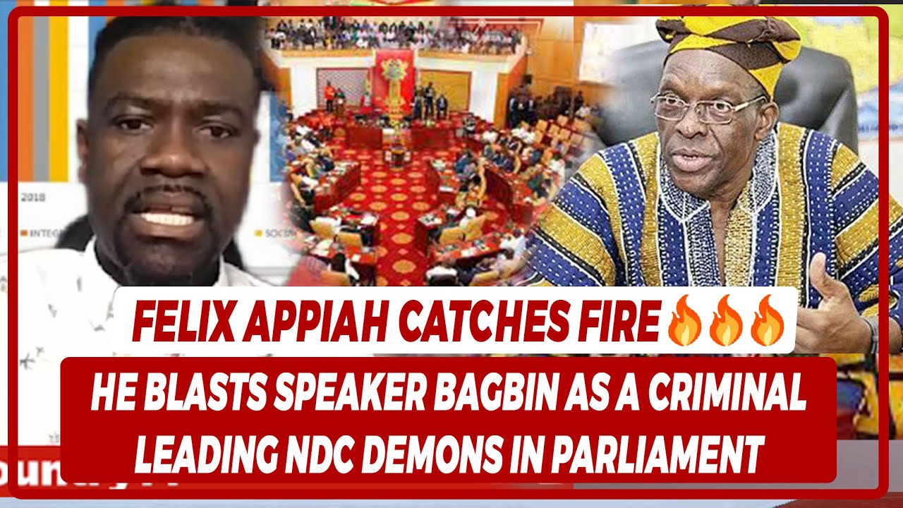 Speaker Bagbin is a Criminal, Leading NDC Demons In Parliament -- Says ...