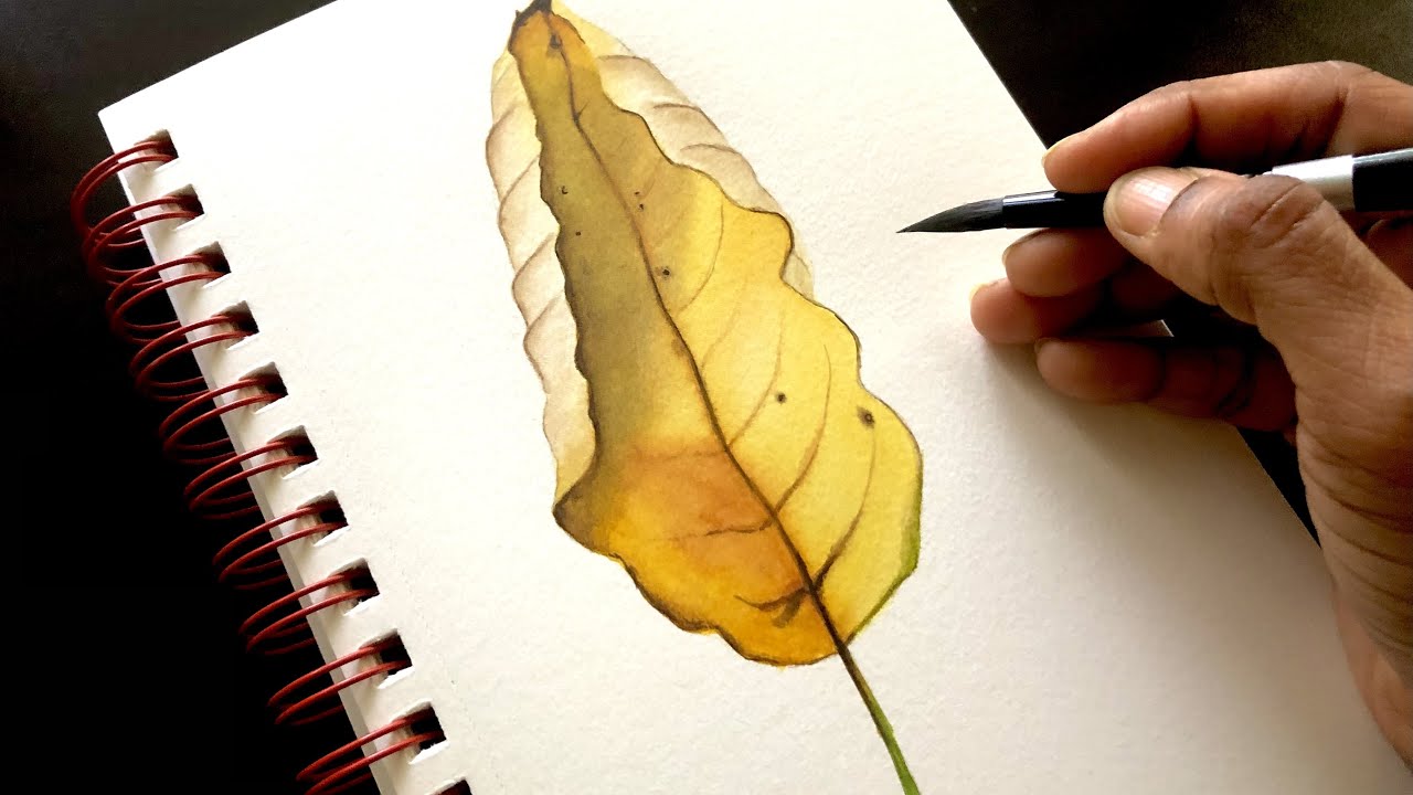 How To Paint Realistic Fall Leaf With Watercolors | Step By Step ...