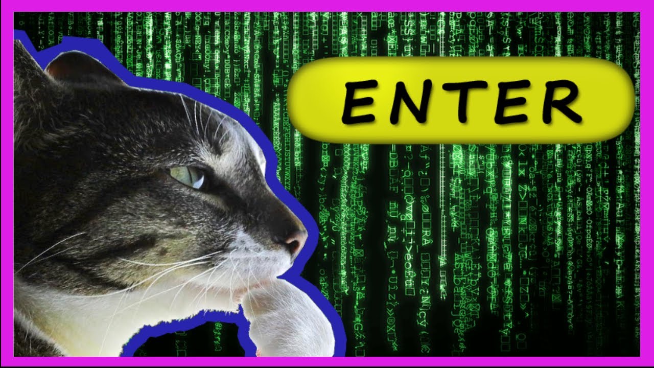 If the Matrix was real it would end us. Exploring the Experience ...