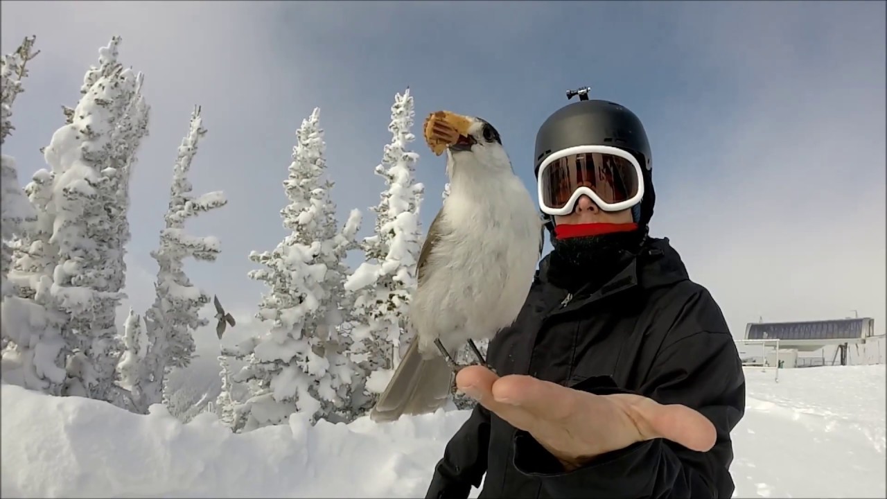 Anthony Rebello / The Blue Project (full video) - YouTube