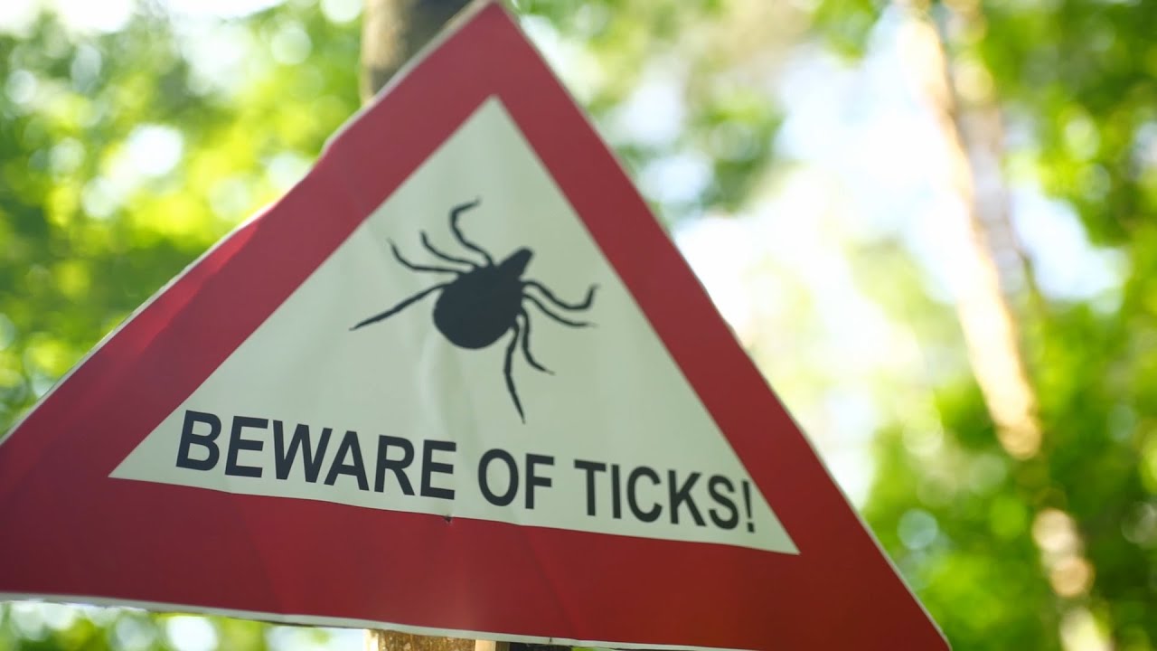 Rhode Island Tick Safety! Repel. Check. Remove. - YouTube