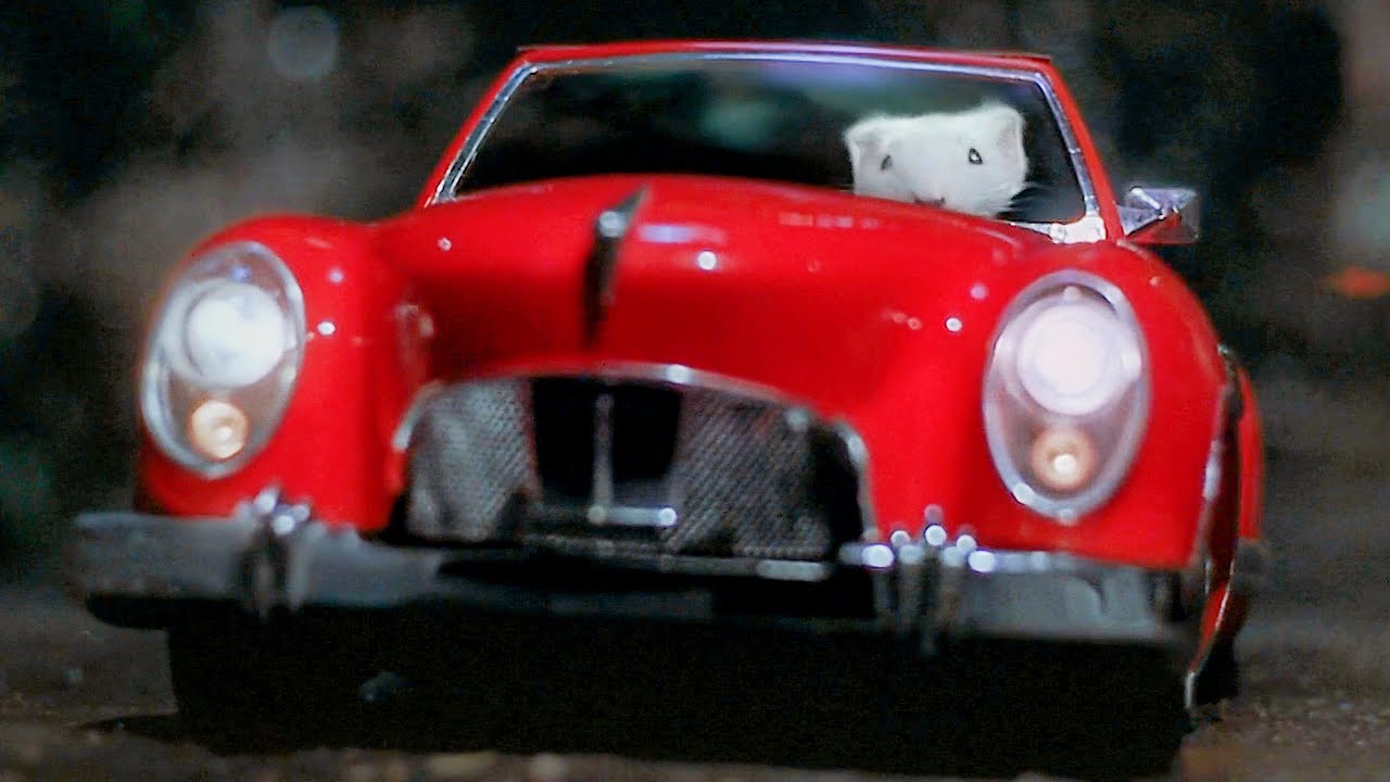 Stuart's Central Park Escape | Stuart Little (Michael J. Fox) - YouTube