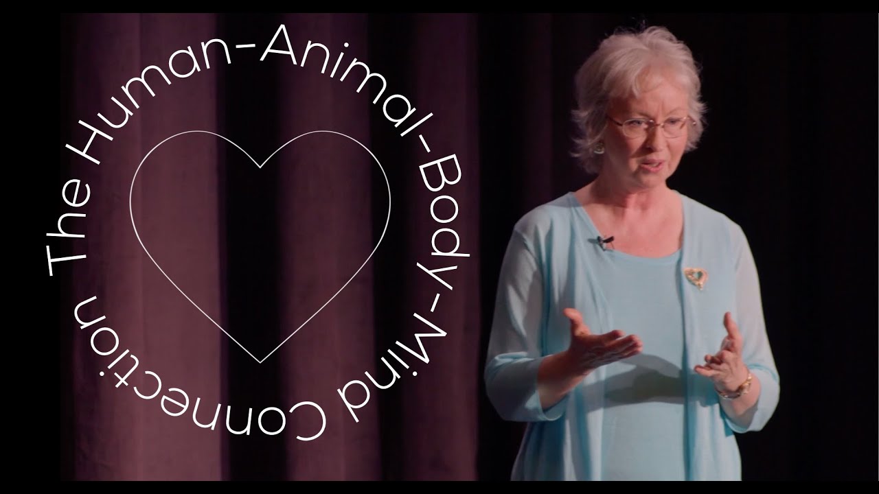 TEDx Talk How Humans and Animals Communicate - Val Heart - YouTube