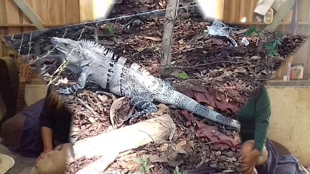 Isla de Chira Golfo de Nicoya, Costa Rica.Chira Island Gulf of Nicoya ...