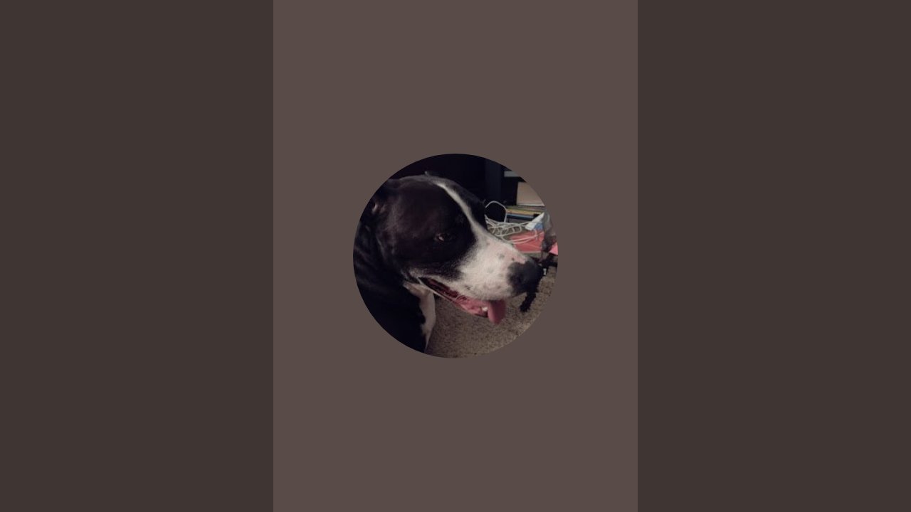 ~ Princess Cece The Alien ~ is live! - YouTube