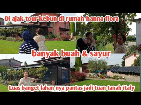 PERTAMA KALI KE RUMAH HANNA FLORA DI AJAK TOUR KEBUN BUAH DAN SAYUR ...