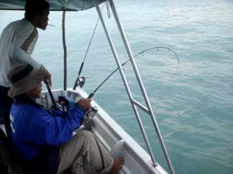 MANCING ARUAN TASIK 10KG,BALAU - YouTube