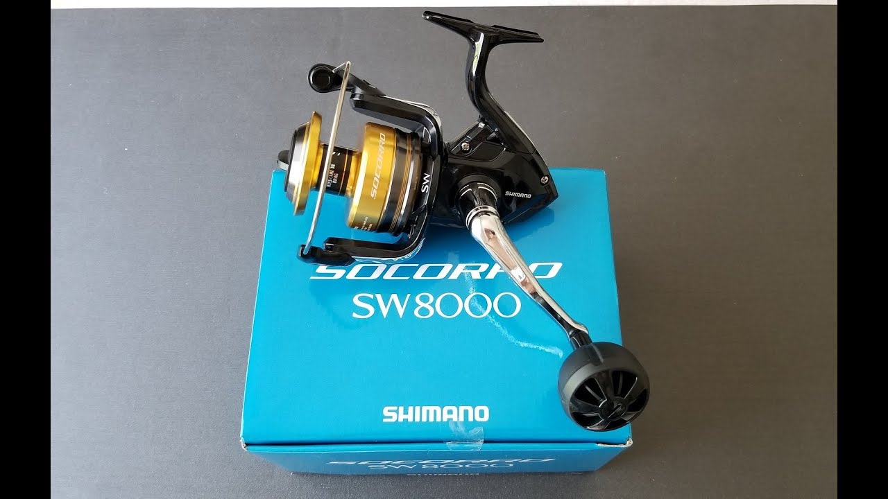 Shimano Socorro SW8000 Unboxing & Quick Overview - YouTube
