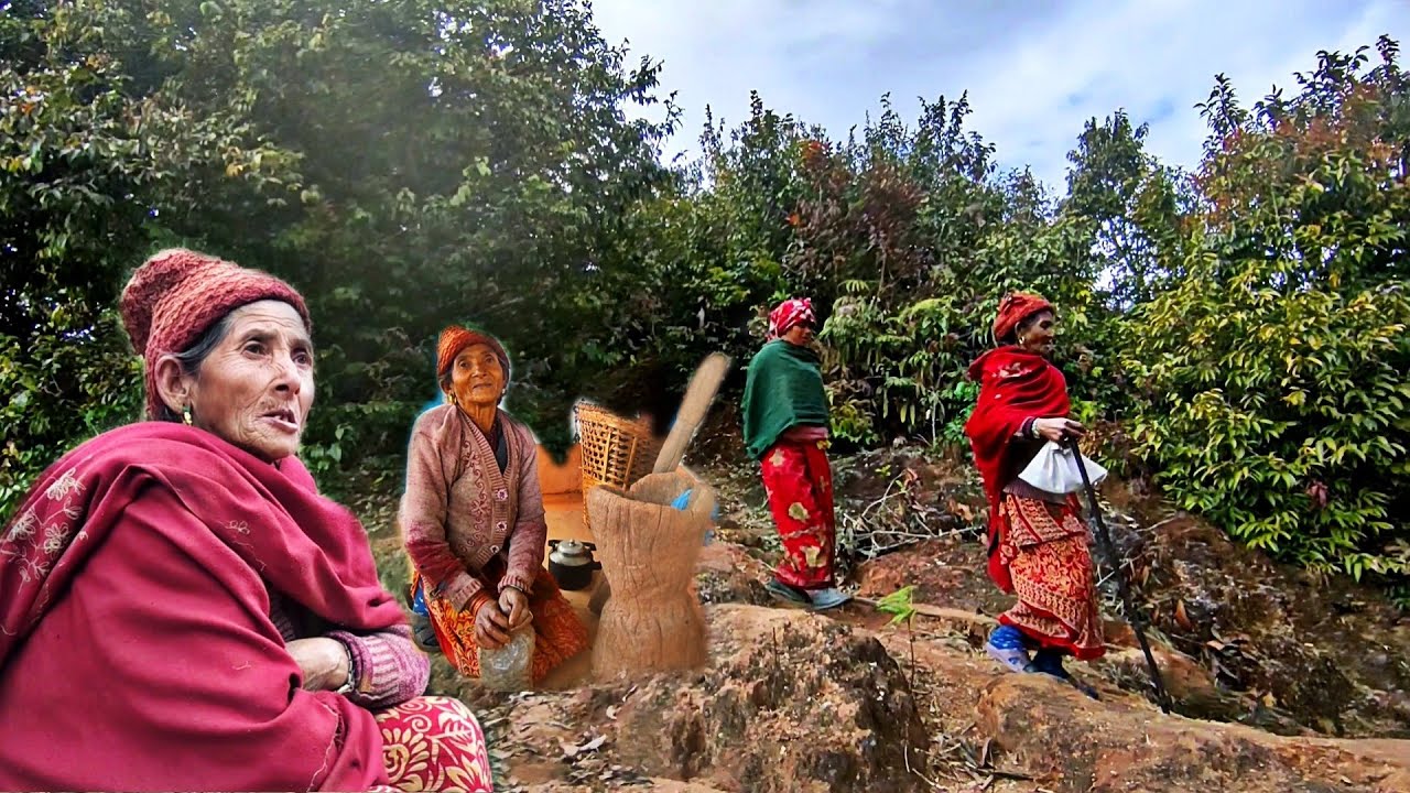 71 Years Old Grandma Is Still Hardworking In Nepali Village || Organic ...