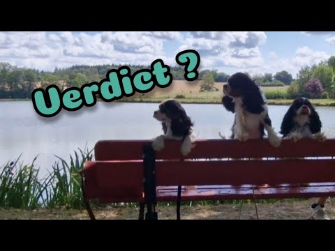 C'est parti pour la séance de confirmation à Ourlon - YouTube