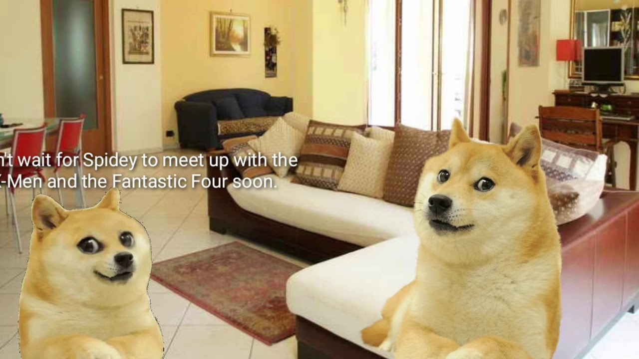 Kid Doge Declares War On Sony - YouTube