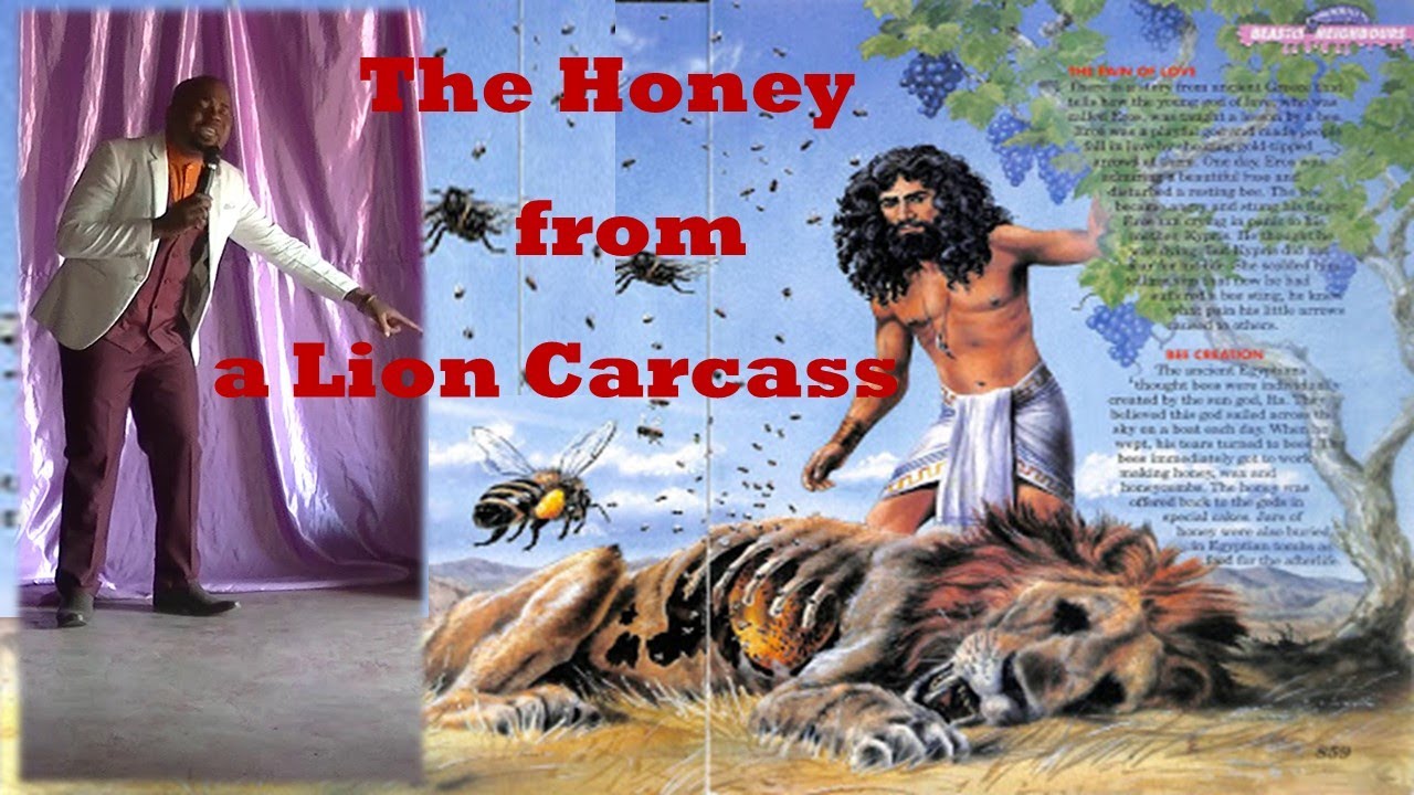 The Honey From A Lion Carcass YouTube the-honey-from-a-lion-carcass-youtube