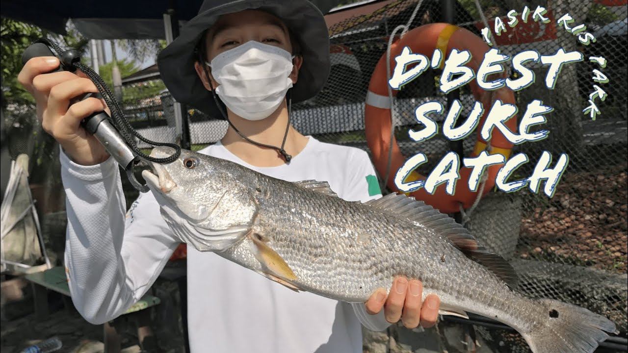 D'best Sure Catch: The Fishing was Crazy! Pasir Ris Town Park Fishing ...