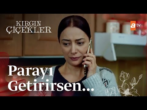 Nazan, Kemal'e para karşılığında Mete'yi verecek mi? - Kırgın Çiçekler 78.Bölüm