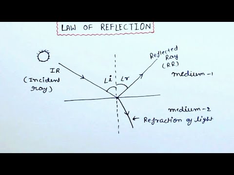 Ray optics | Physics | Class 12 | Pyq | law of reflection | L1| refraction | reflection | Neet ...