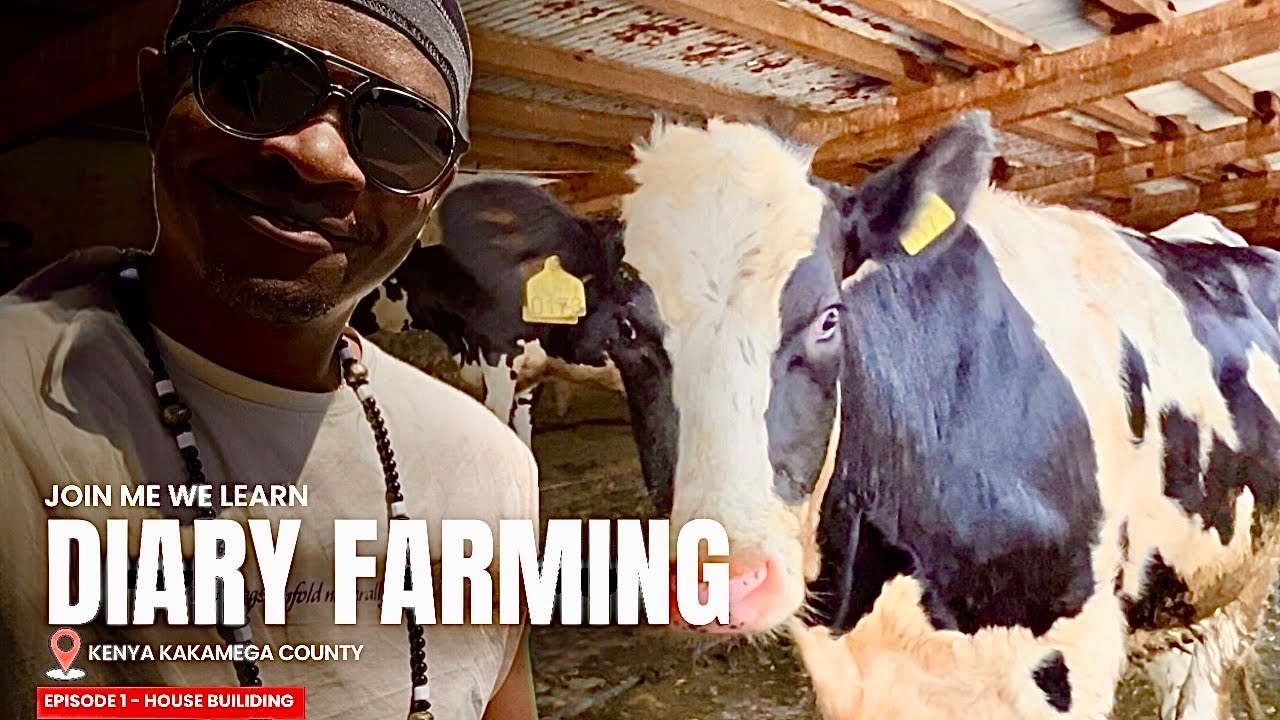 Diary Farming for beginners | Kenya Kakamega county - YouTube